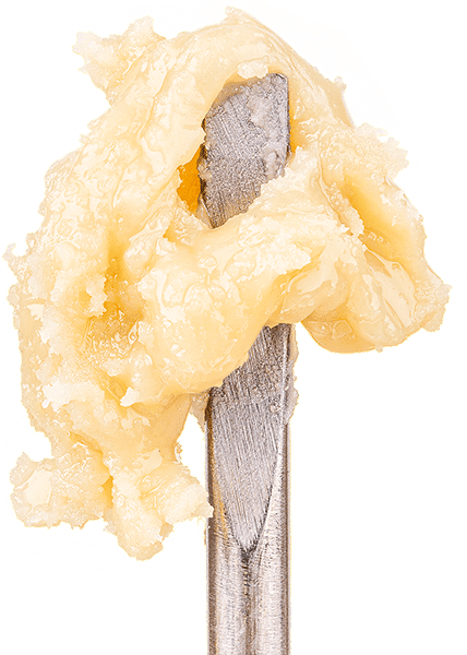 Live Rosin - PUNCH EXTRACTS